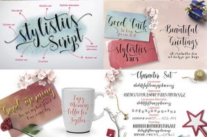 25 Hand Drawn Modern Script Calligraphy Fonts | Dribbble Graphics