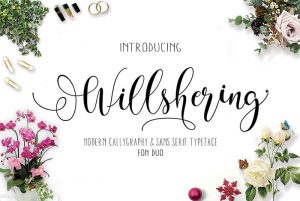 25 Hand Drawn Modern Script Calligraphy Fonts | Dribbble Graphics