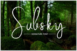50 Fresh Script Fonts For Graphics Designers | Dribbble Graphics