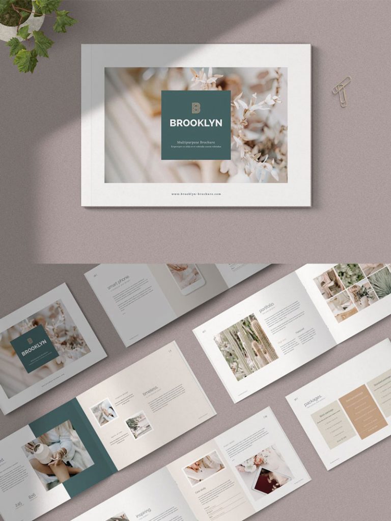 20 Creative InDesign Brochure Templates For Designers of The World ...