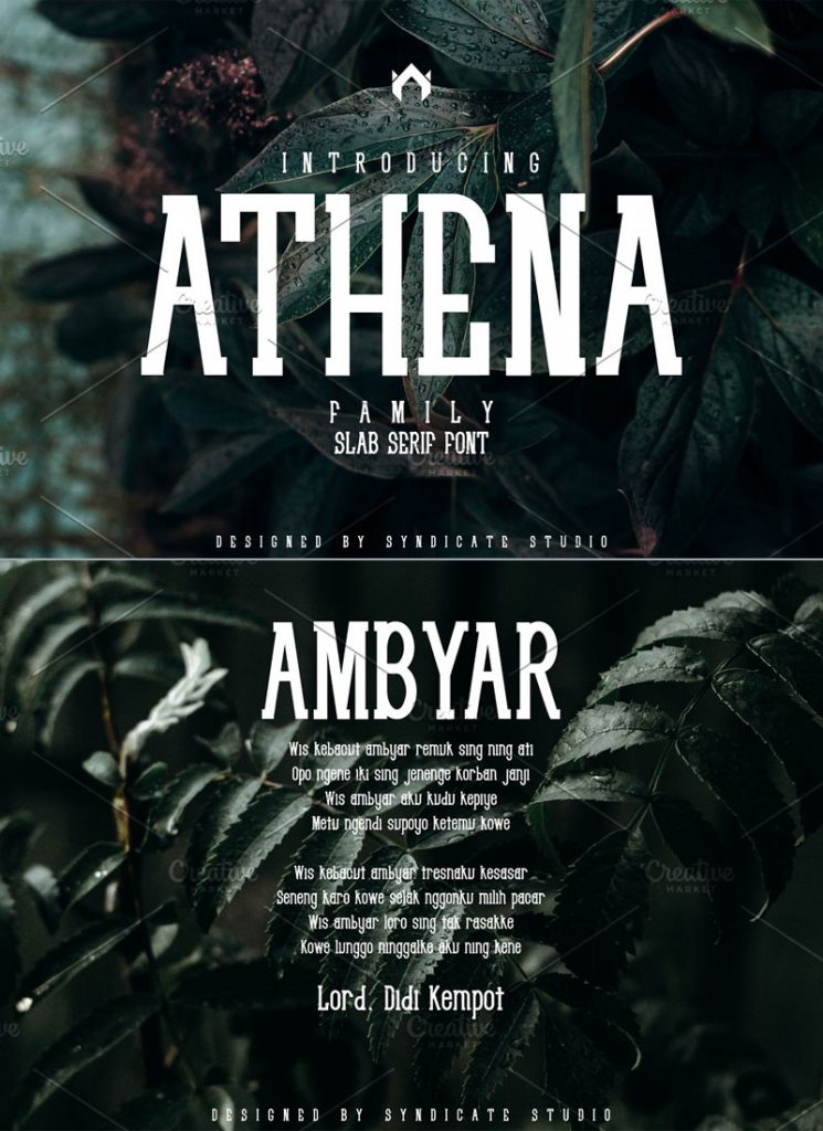 20 Great Slab Serif Fonts For Designers 2020 | Dribbble Graphics