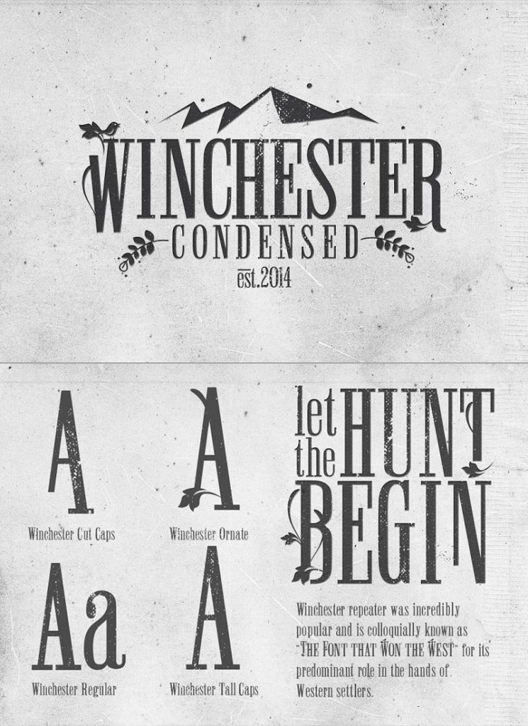 20 Great Slab Serif Fonts For Designers 2020 | Dribbble Graphics