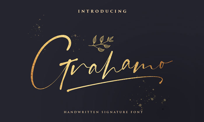Free Grahamo Luxury Handwritten Signature Script Font | Dribbble Graphics