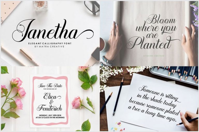 15 Amazing Creative Script Fonts For 2020 | Dribbble Graphics