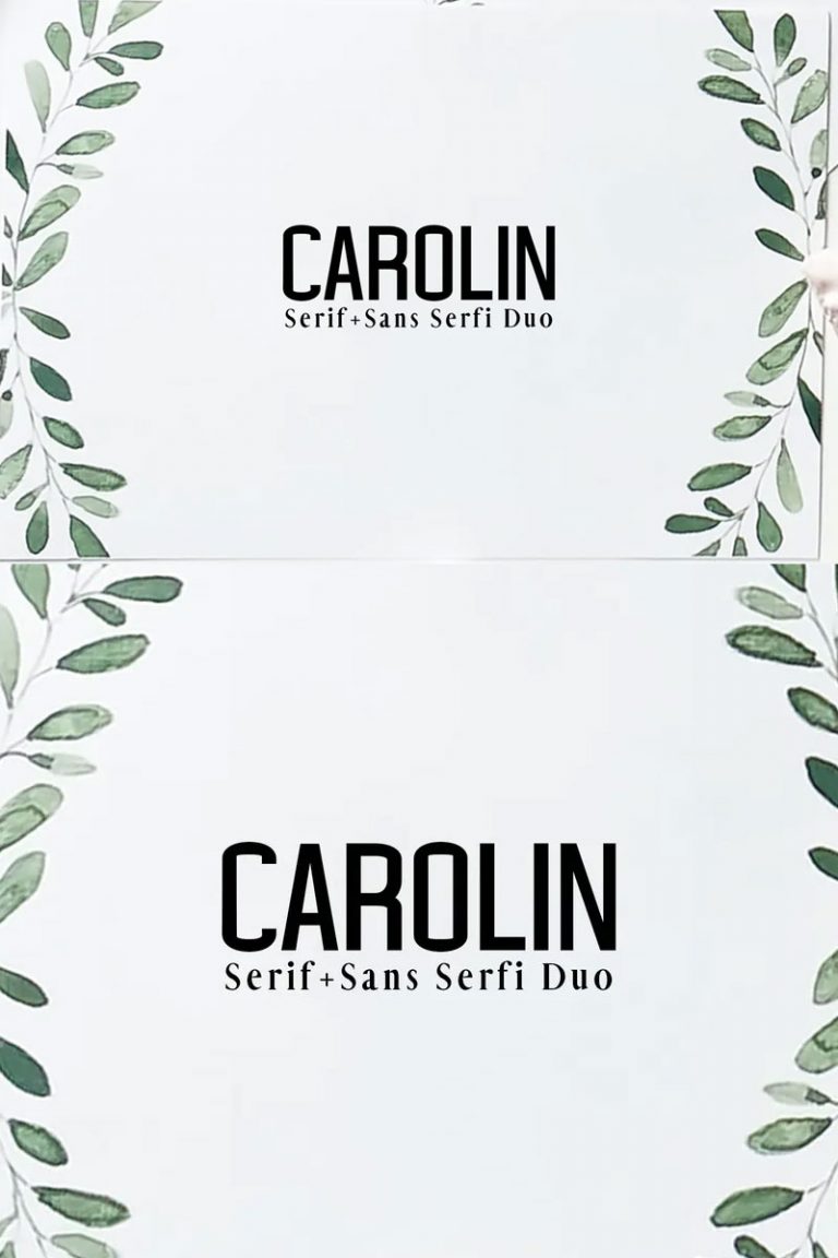 10 Fabulous Serif Fonts For Creative Designers | Dribbble Graphics