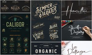 Dribbble Graphics