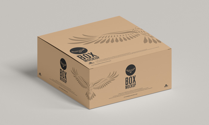 Free Premium Brand Box Mockup | Dribbble Graphics